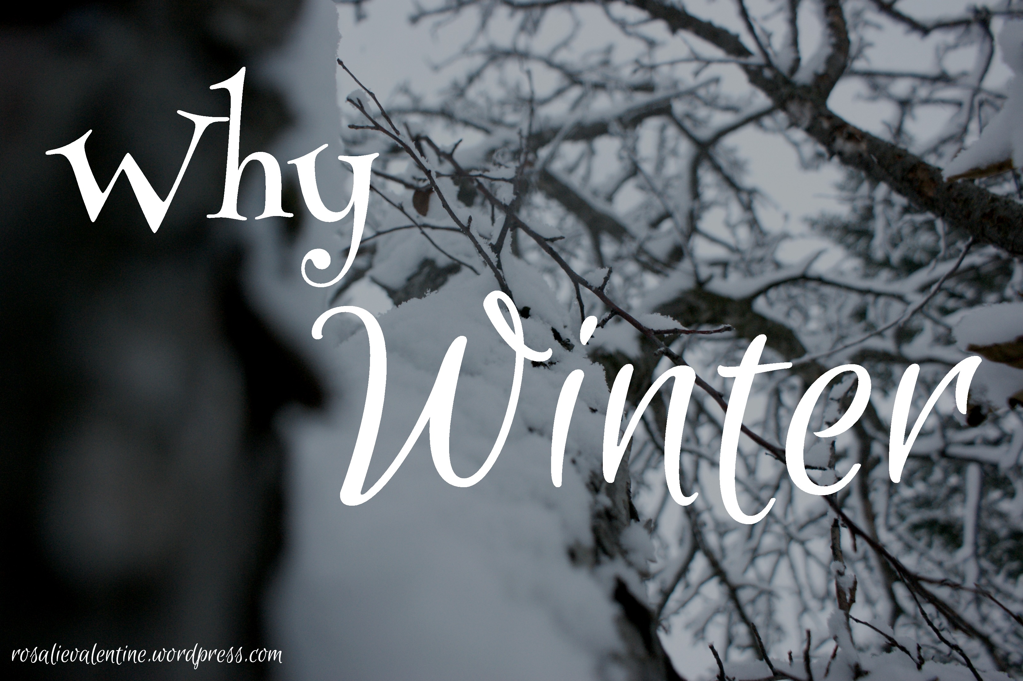 Why Winter | Penprints